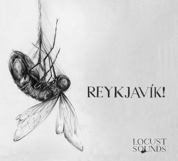 Locust Sounds by Reykjavík! (Album): Reviews, Ratings, Credits, Song ...