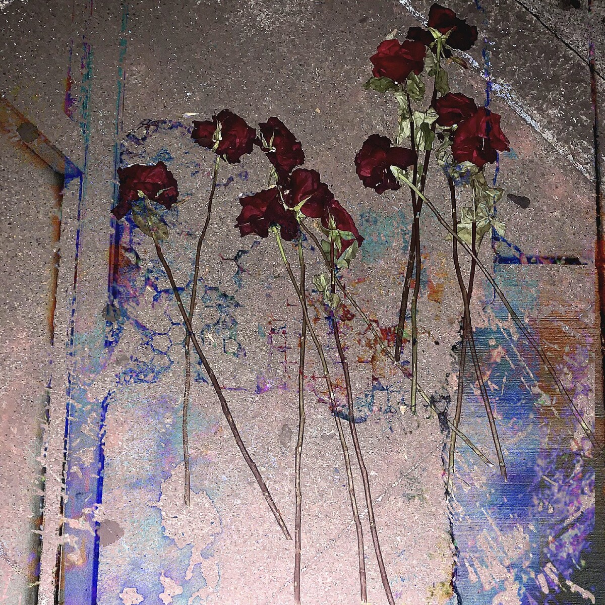 Terfs in a Bucket by Rose Cherami (Album): Reviews, Ratings, Credits ...