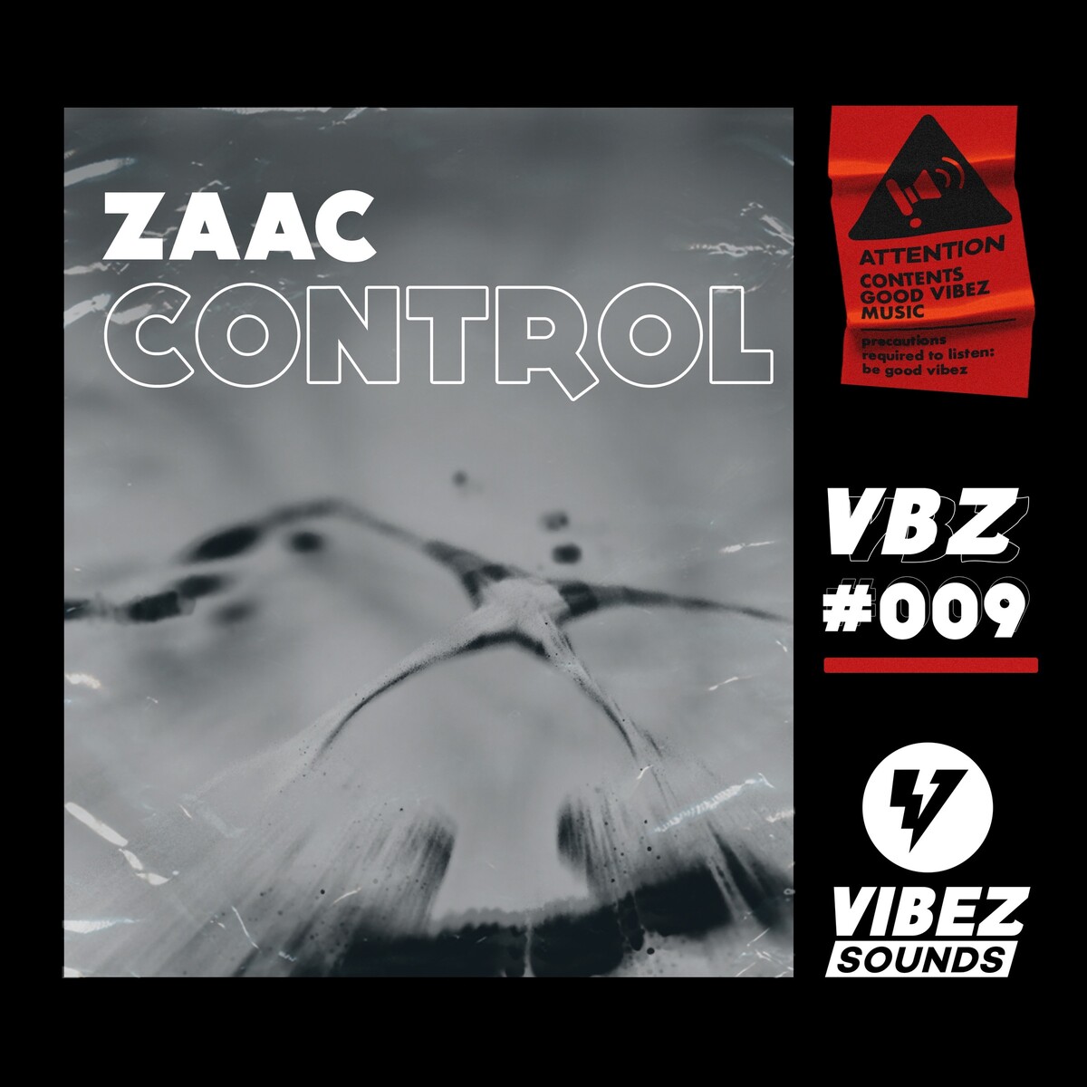 Control by Zaac (Single): Reviews, Ratings, Credits, Song list - Rate ...