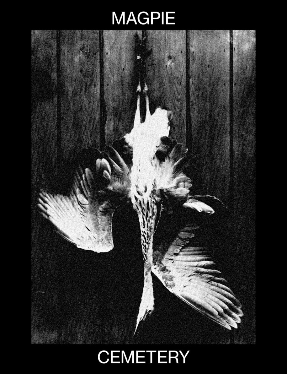 Grove of Cherished Corpses by Magpie Cemetery (Album, Harsh Noise ...