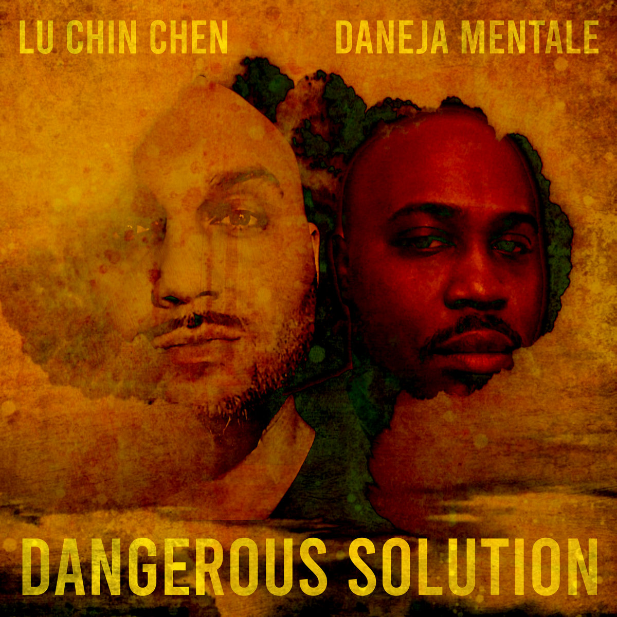 Dangerous Solution by Lu Chin Chen & Daneja Mentale (Album): Reviews ...
