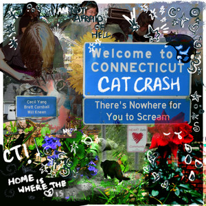 Cat Crash Albums: songs, discography, biography, and listening guide ...