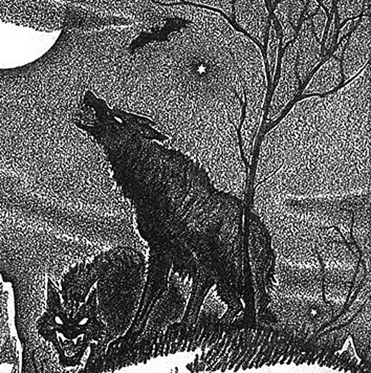 Moonlit Fortress Albums: songs, discography, biography, and listening ...