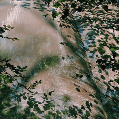 Draaimolen Festival 2024 by Ciel (DJ Mix): Reviews, Ratings, Credits ...