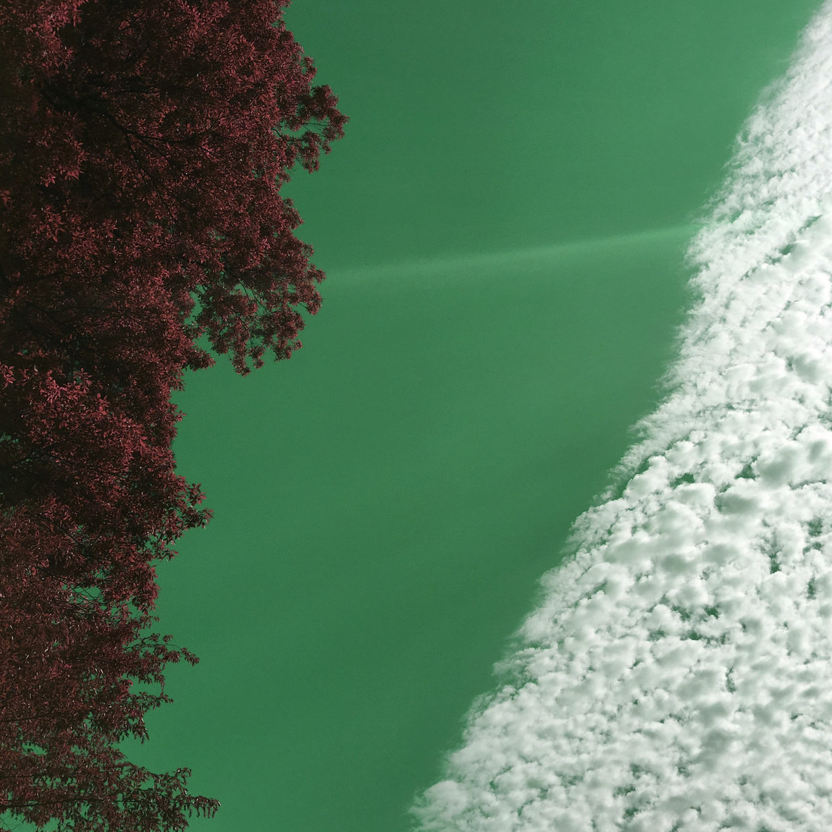 Best Matt Talbott songs of all time - Rate Your Music