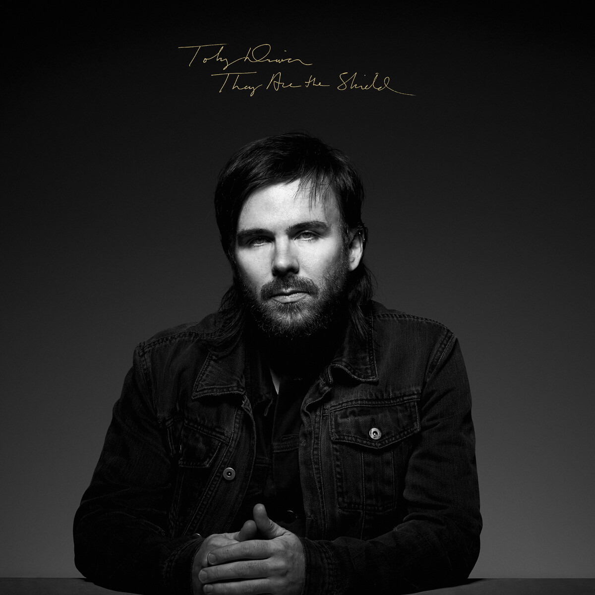 They Are the Shield by Toby Driver (Album; Ice Level): Reviews, Ratings ...