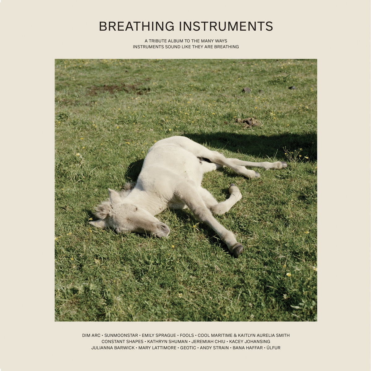 Breathing Instruments by Various Artists (Album; Touchtheplants ...