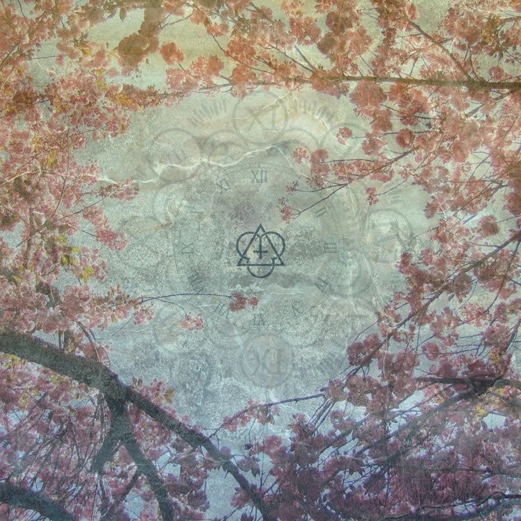 Never Born, Never Dead by Trophy Scars (EP, Alternative Rock): Reviews ...