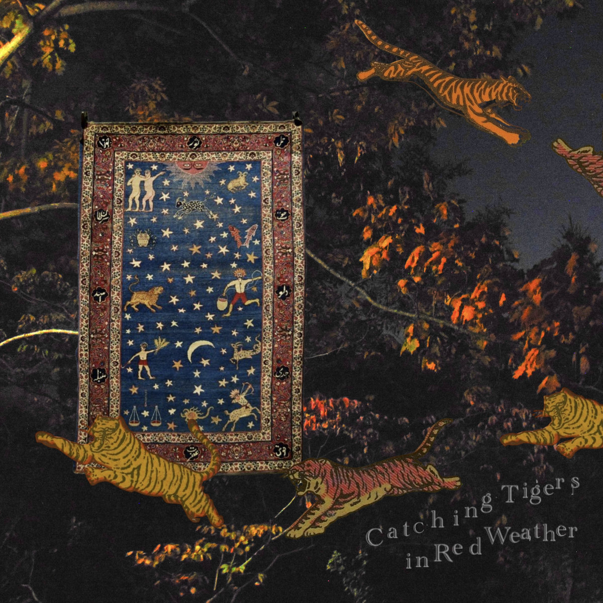 Catching Tigers in Red Weather by Trent Liptak (Album): Reviews ...