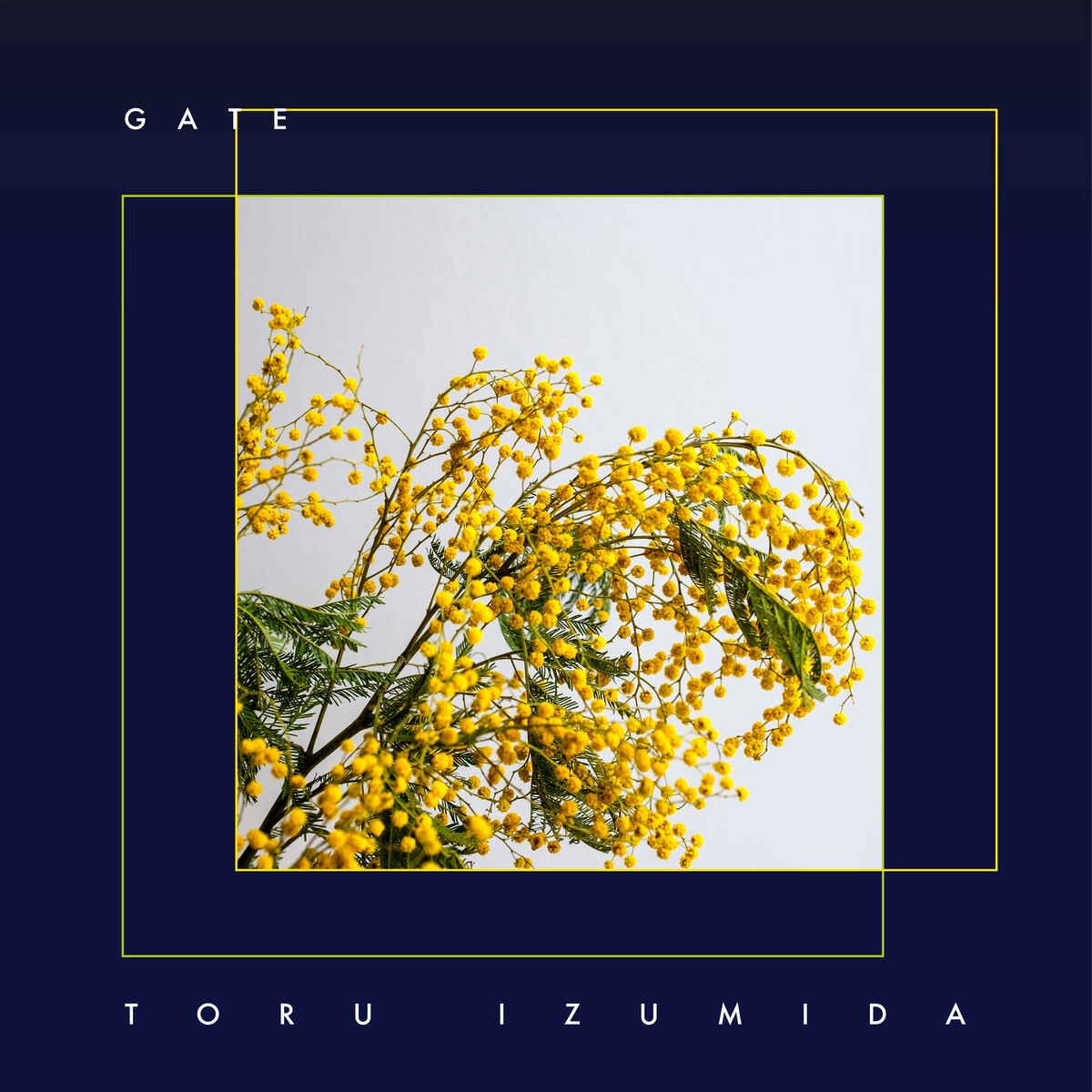 Gate by Toru Izumida (Single): Reviews, Ratings, Credits, Song list - Rate Your Music
