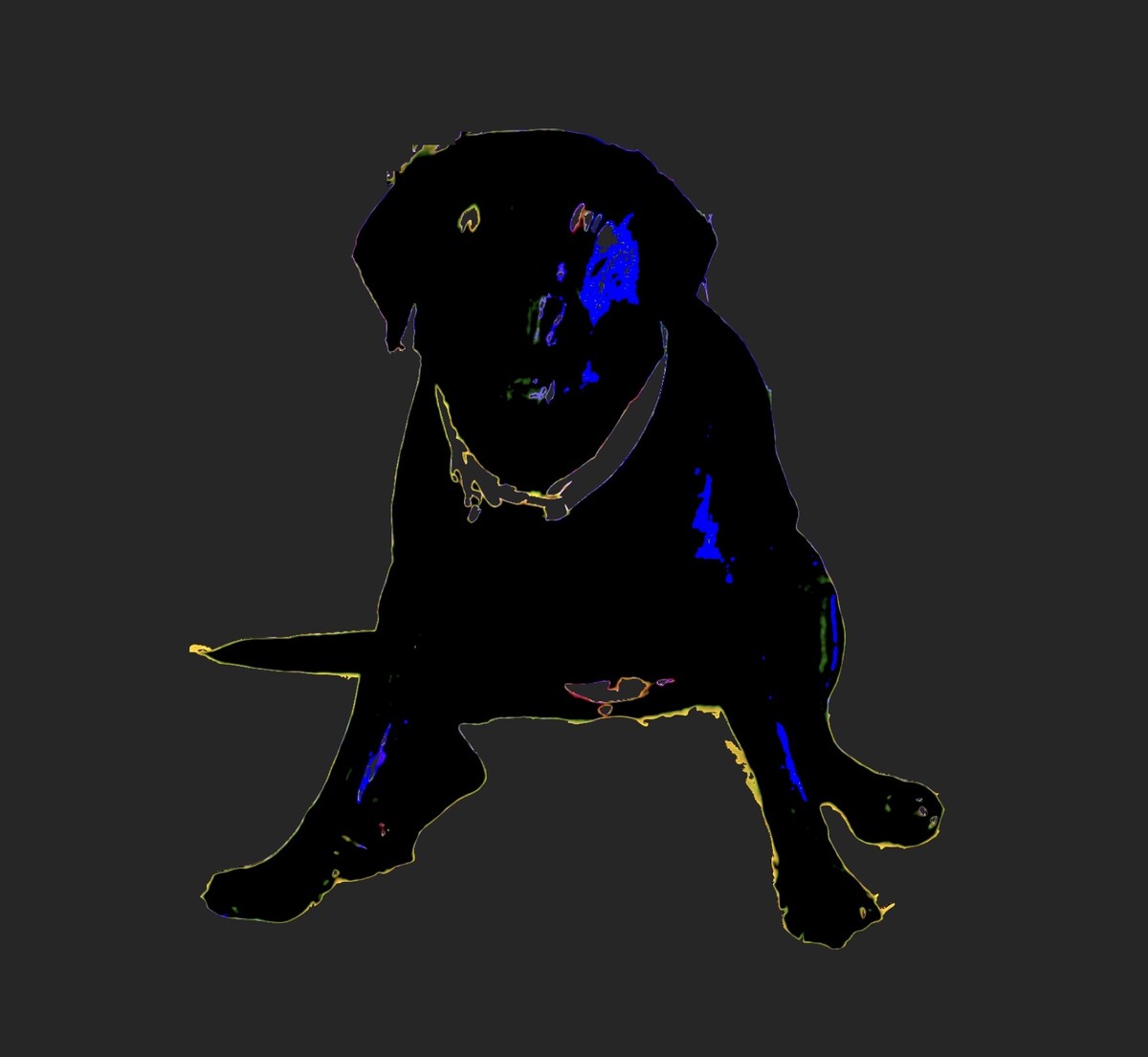 Big Toe by Joe Gardella (Album): Reviews, Ratings, Credits, Song list ...