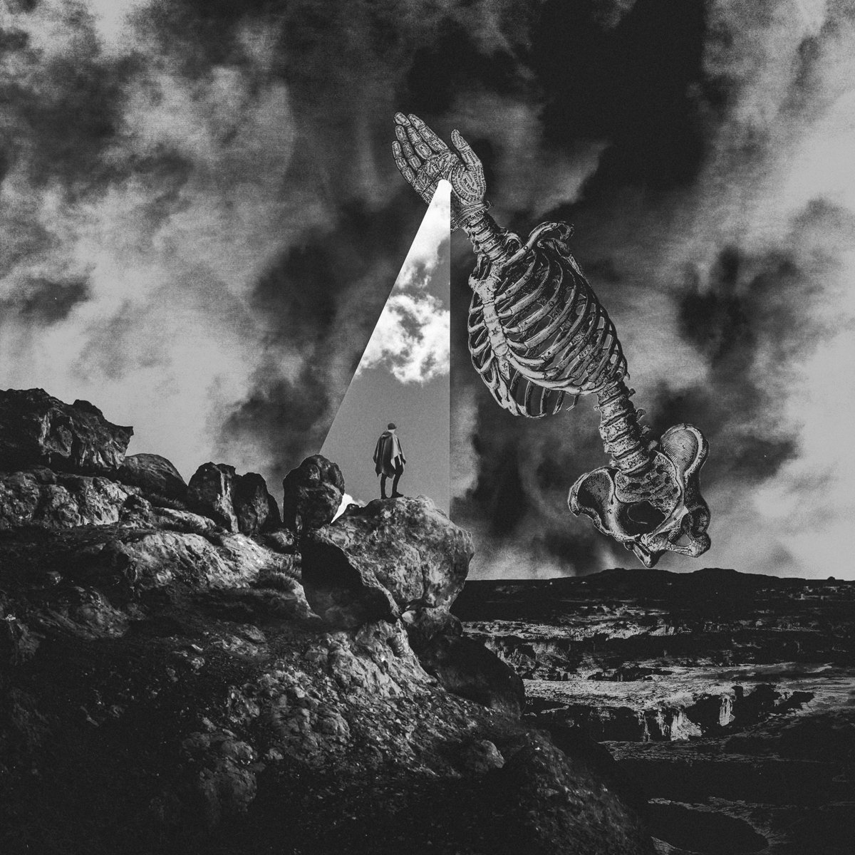 Monty Albums: songs, discography, biography, and listening guide - Rate ...