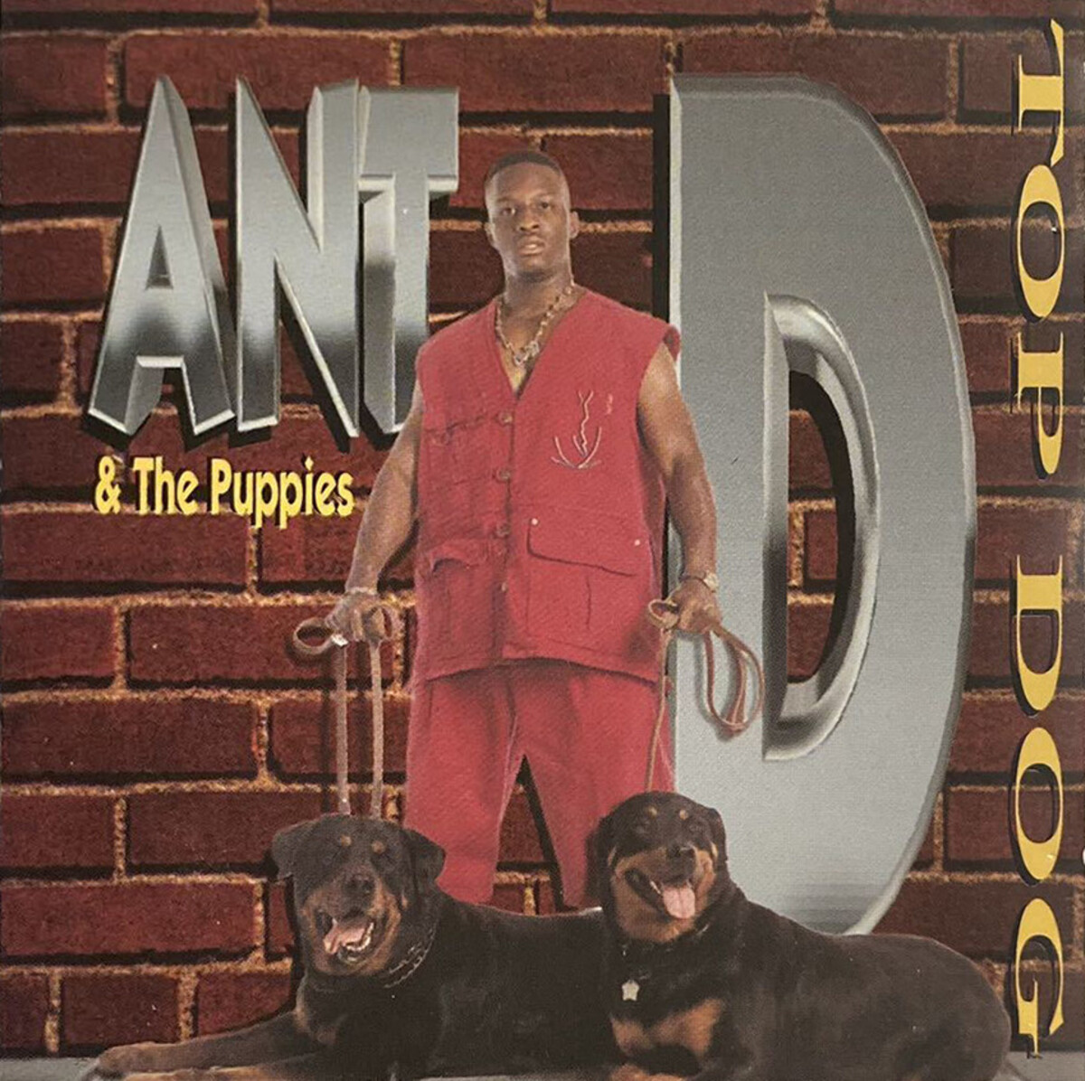 Top Dog by Ant "D" & The Puppies (Album; JR; JR 2009): Reviews, Ratings ...