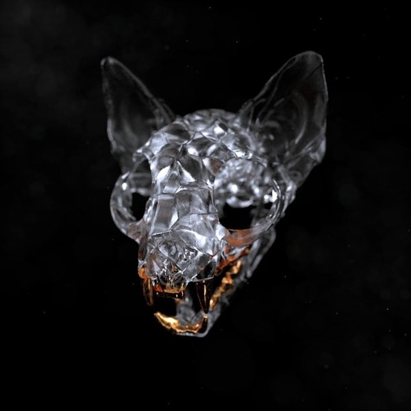 Best Darci songs of all time - Rate Your Music