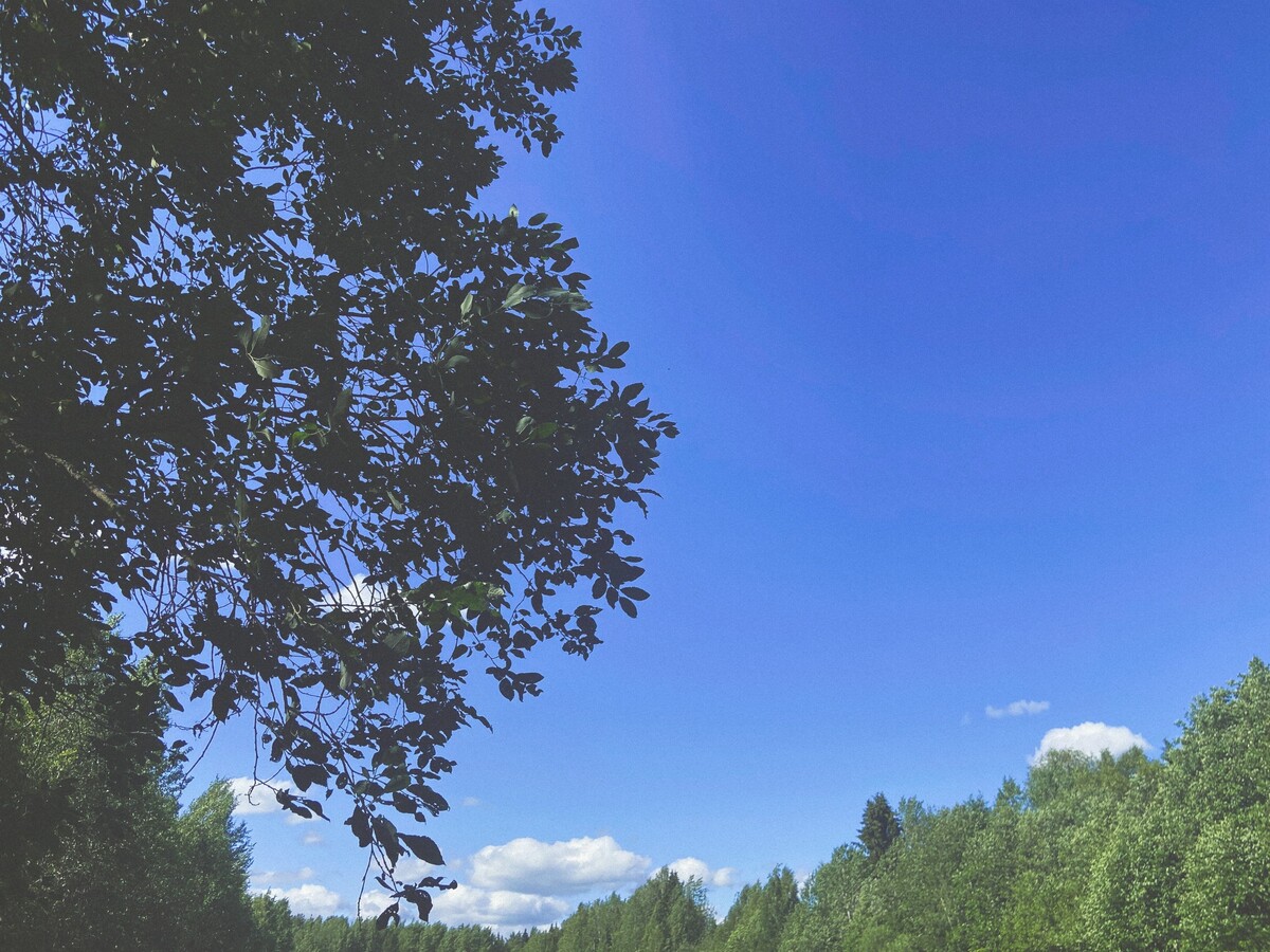 Temporal Love of Blue Skies by Lurp Sheets (EP): Reviews, Ratings ...