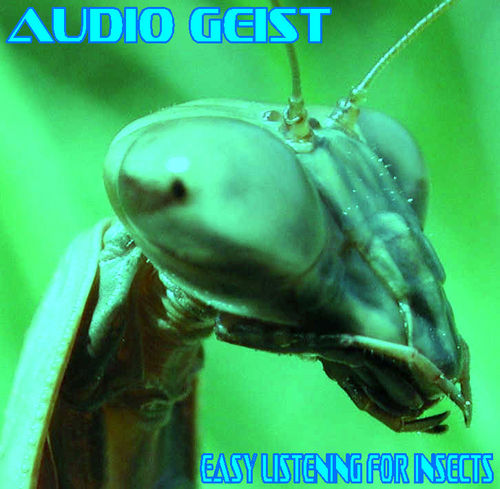 Insect Playground by Audio Geist (Album): Reviews, Ratings, Credits ...