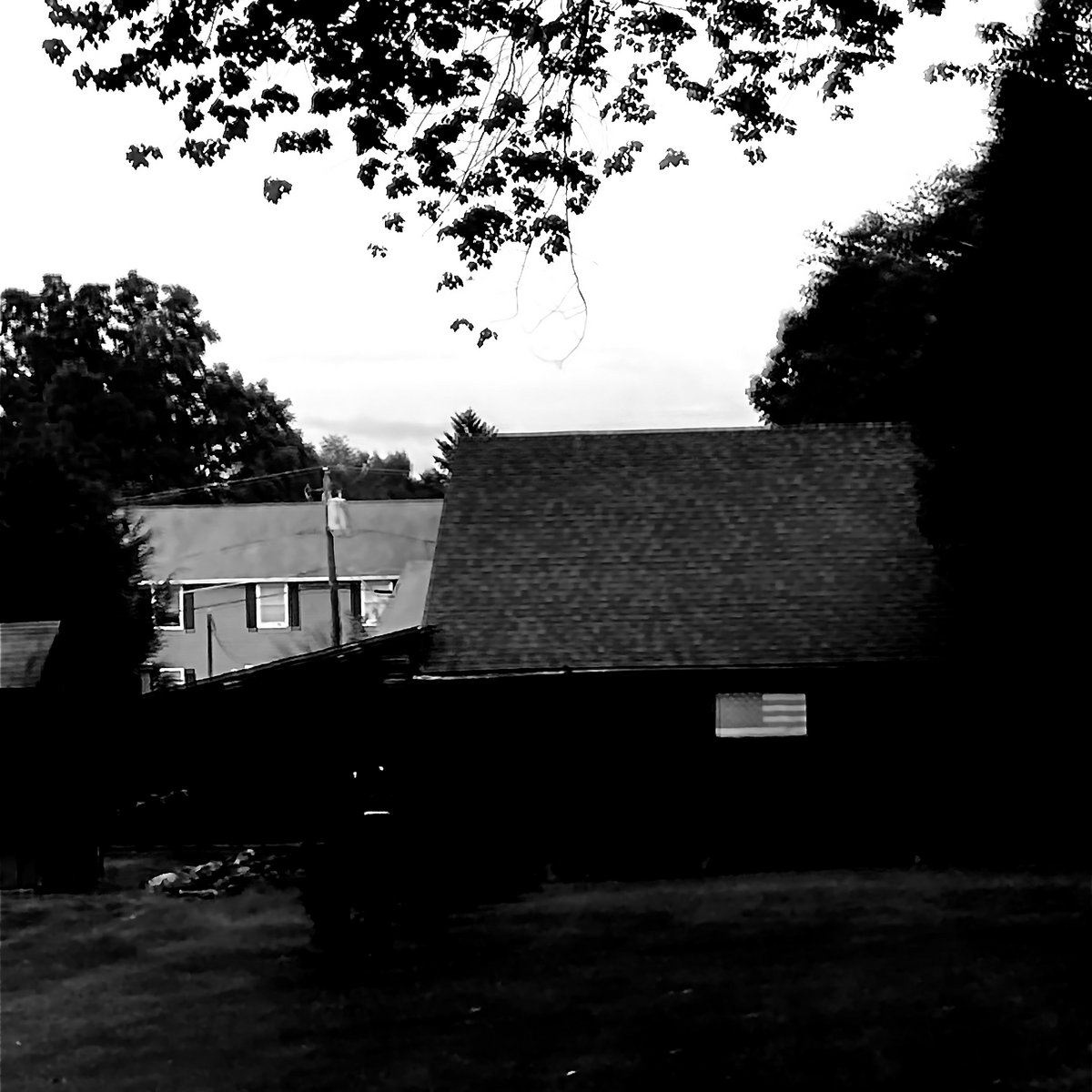 Liability by Cameron (Album, Free Improvisation): Reviews, Ratings ...