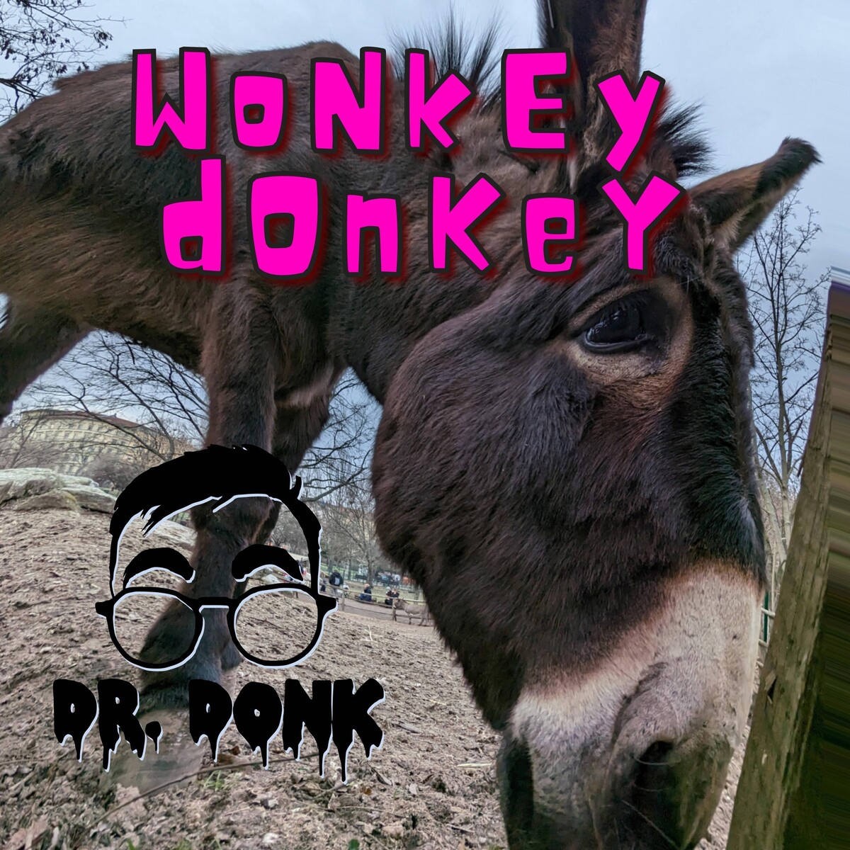 Wonkey Donkey by Dr Donk (Single): Reviews, Ratings, Credits, Song list - Rate Your Music