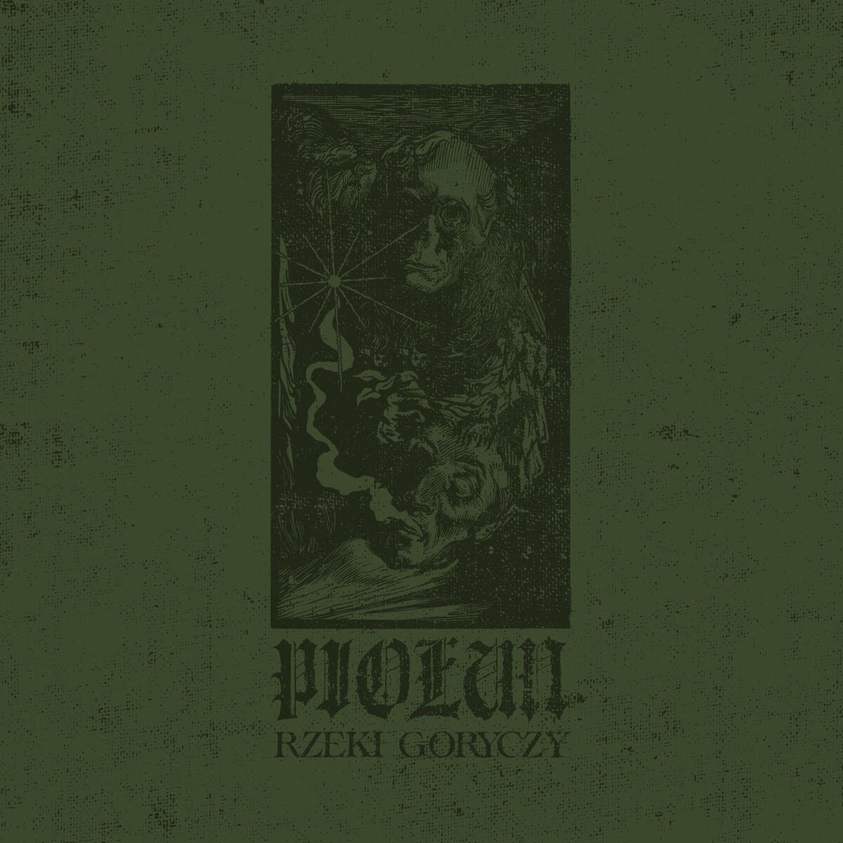 Piołun Albums: songs, discography, biography, and listening guide ...