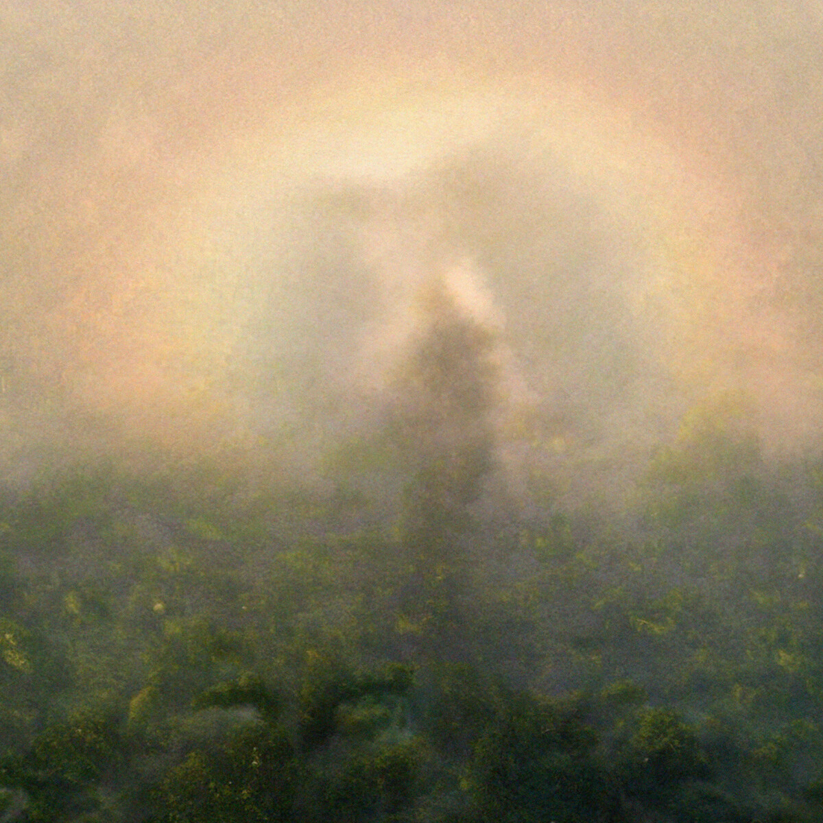 Observer by Fog Pillar (Single; Inner Most; INNER010): Reviews, Ratings ...