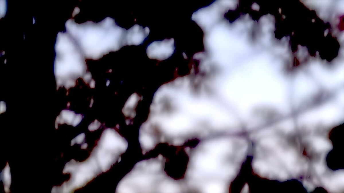 How I See Nothing but You by 파란노을 [Parannoul] (Music video): Reviews ...