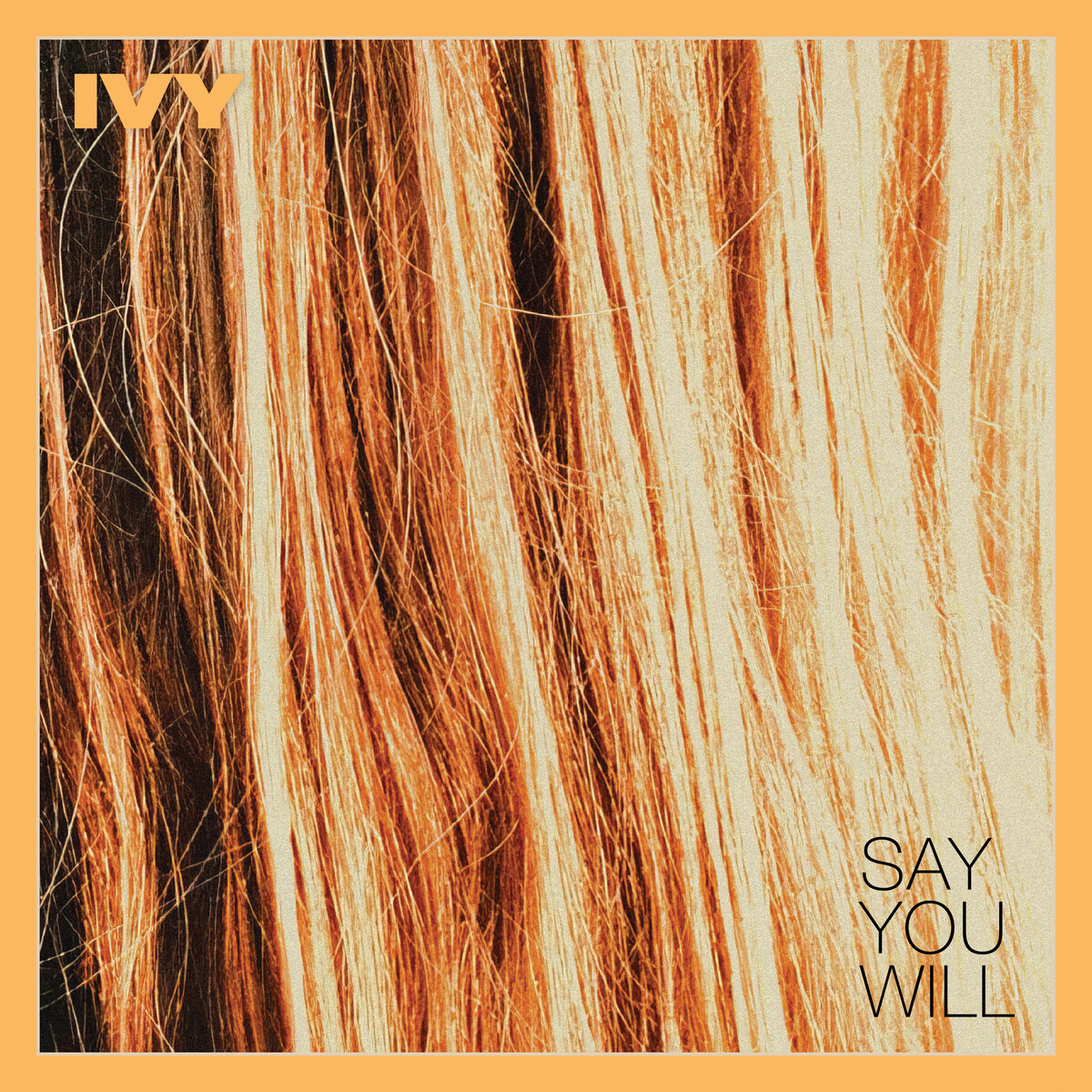 Say You Will by Ivy (Single, Indie Pop): Reviews, Ratings, Credits ...