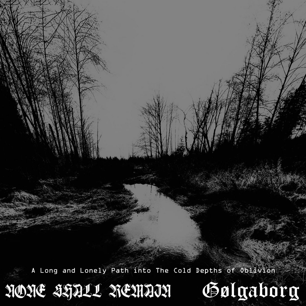 A Long and Lonely Path Into the Cold Depths of Oblivion by None Shall ...