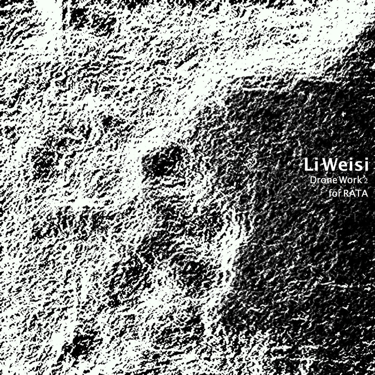 Drone Work 2 for Rata by 李维思 [Li Weisi] (Album): Reviews, Ratings ...