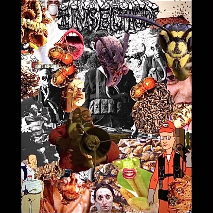 INSECTICIDE Albums: songs, discography, biography, and listening guide ...