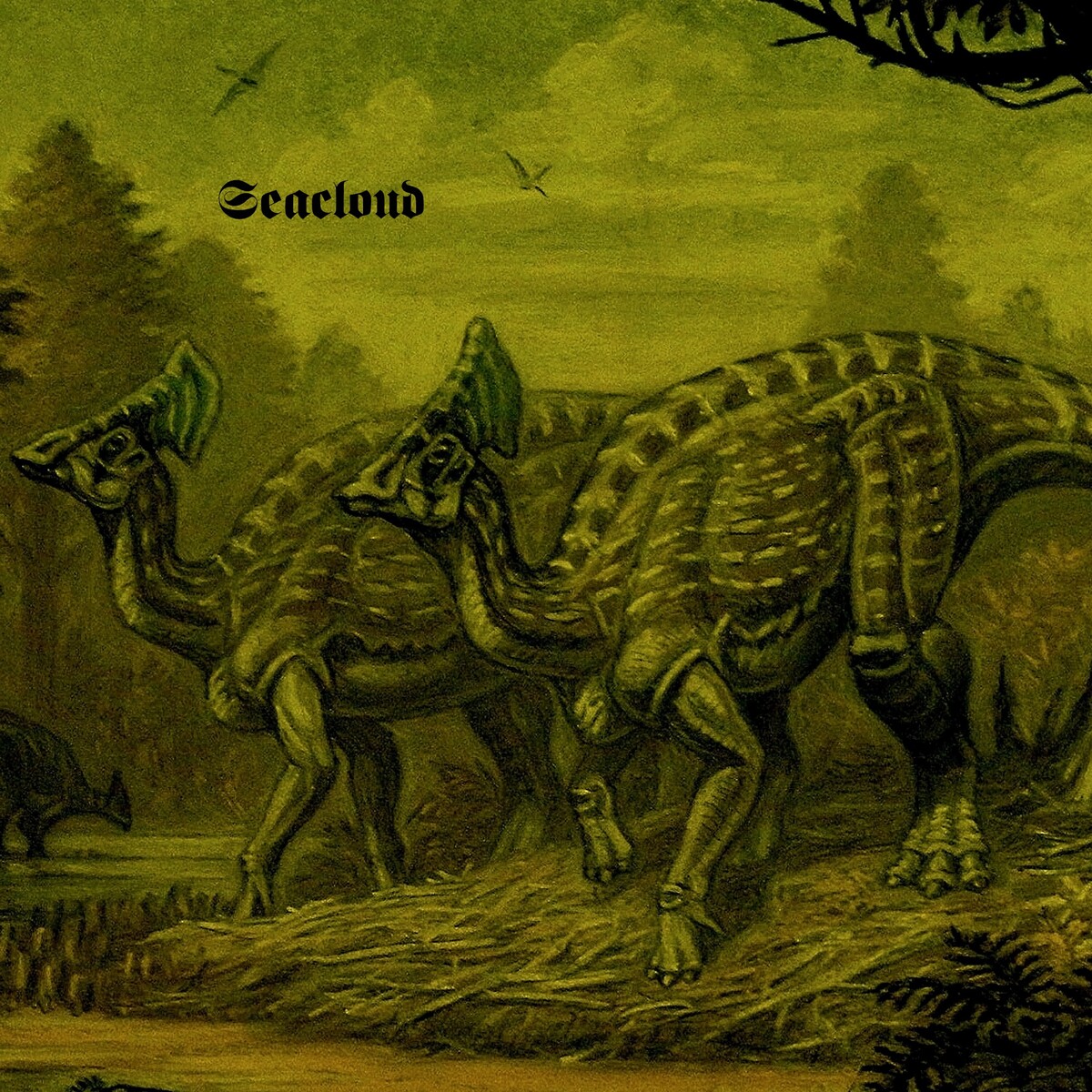 Seacloud Albums: songs, discography, biography, and listening guide ...