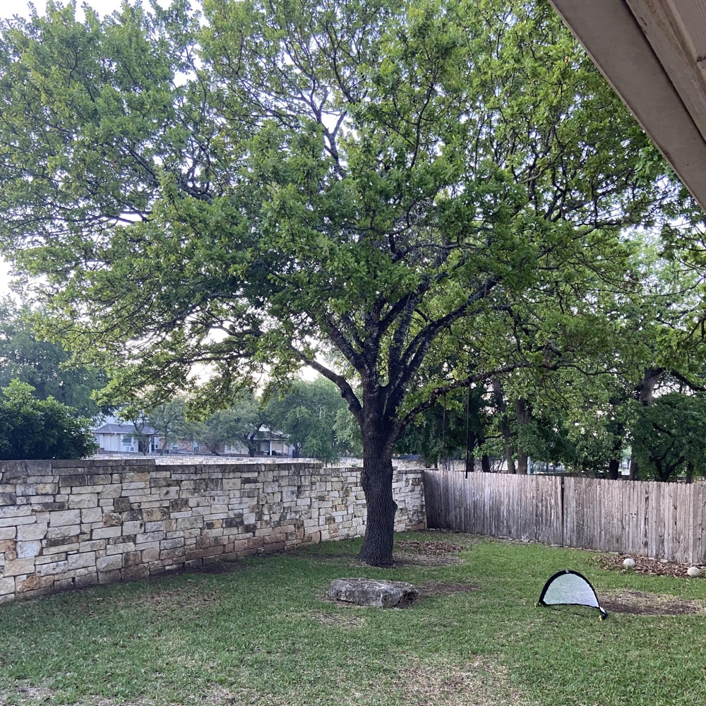 Solo Rotation 2 by Token Black (Album, Jazz Rap): Reviews, Ratings ...