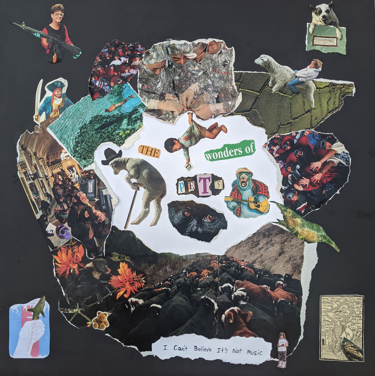 Wonderpets Albums: songs, discography, biography, and listening guide ...