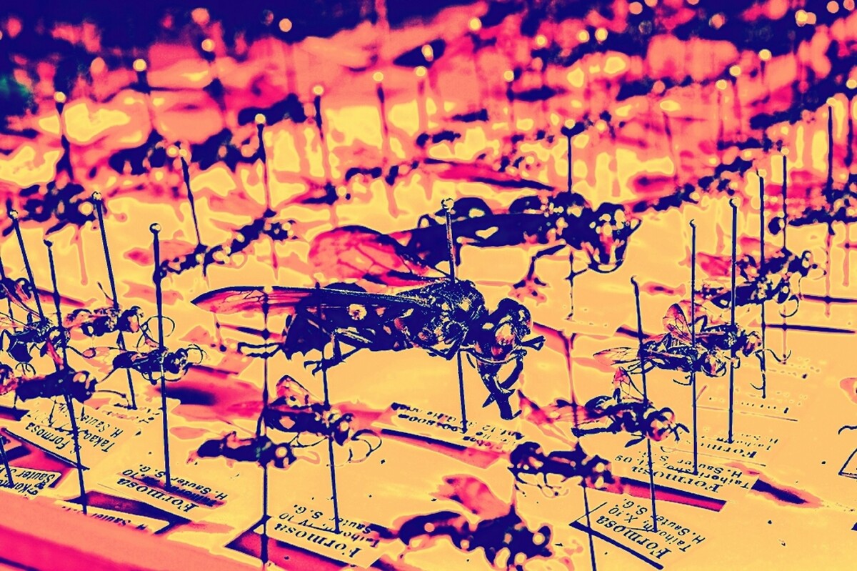 Wrath by Blood Gutter (Album): Reviews, Ratings, Credits, Song list ...