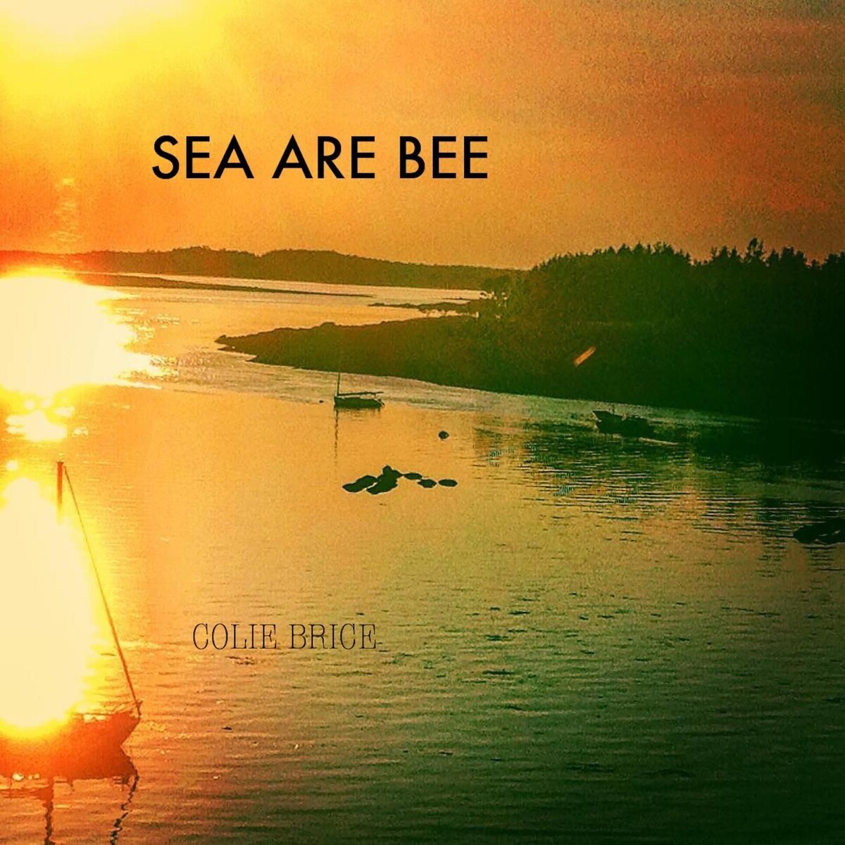Sea Are Bee by Colie Brice (Album): Reviews, Ratings, Credits, Song ...