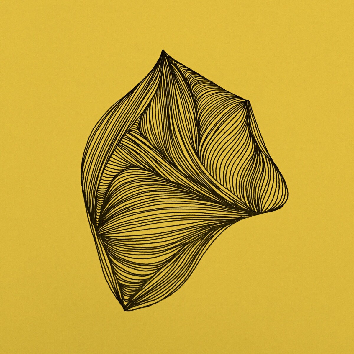 Demo 01 by Jake Packer (Additional release): Reviews, Ratings, Credits ...