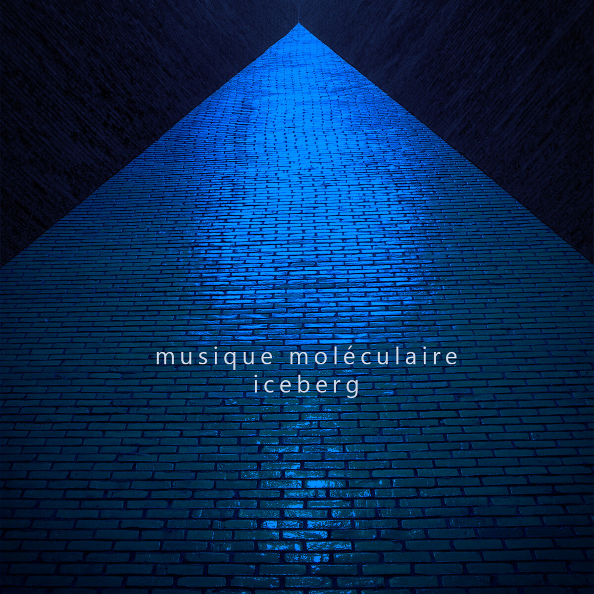 Iceberg by musique moléculaire (Album; Musique moléculaire): Reviews ...