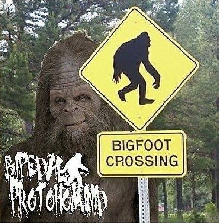 Bipedal Protohominid Albums: songs, discography, biography, and ...