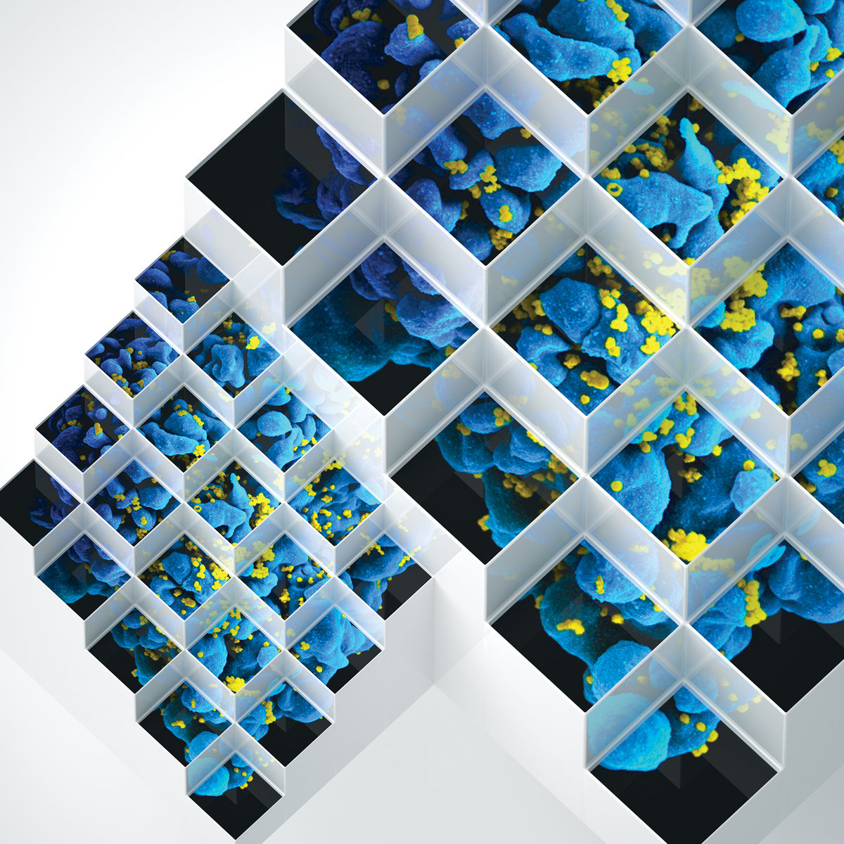 Liquid Geometries in Dub by Bluetech (Album, Psybient): Reviews ...