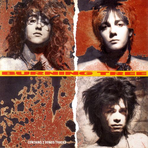 Burning Tree Albums: songs, discography, biography, and listening guide ...