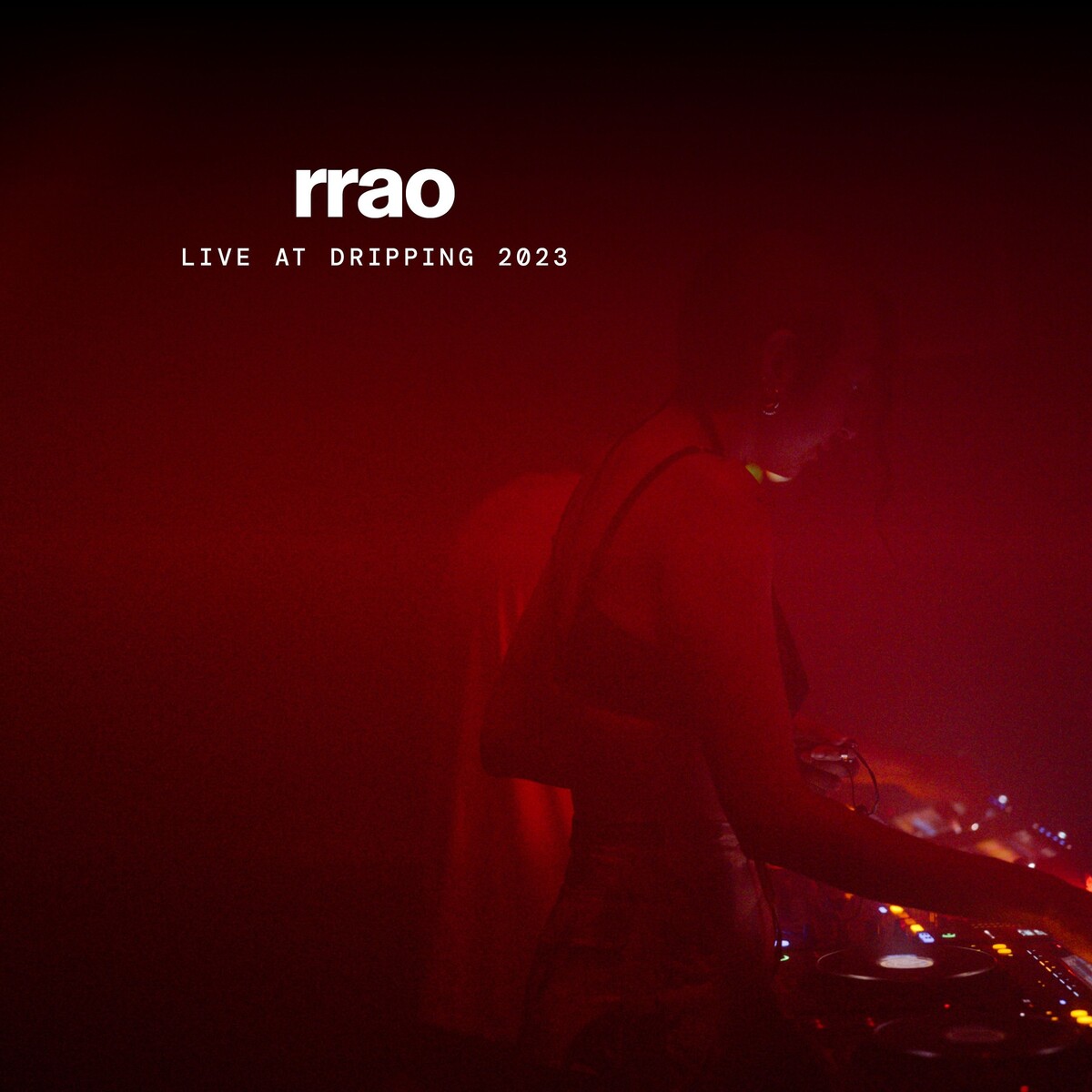 Dripping 2023 by rrao (DJ Mix): Reviews, Ratings, Credits, Song list ...