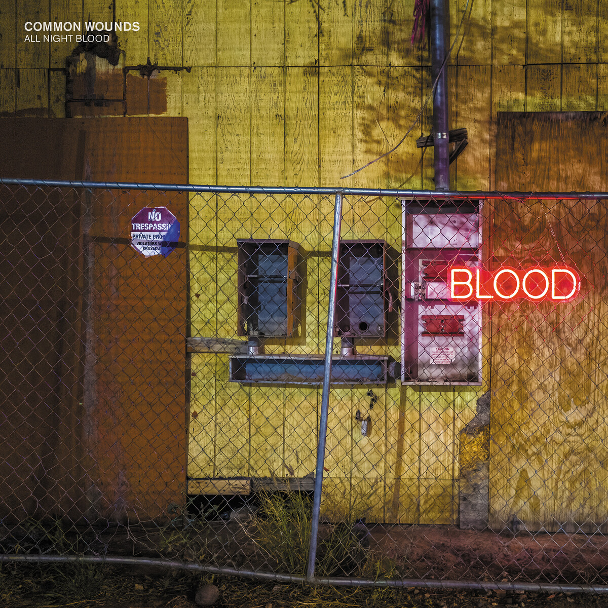 Common Wounds Albums: songs, discography, biography, and listening ...