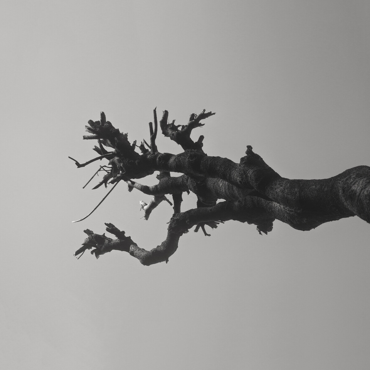 Bios Contrast Albums: songs, discography, biography, and listening ...