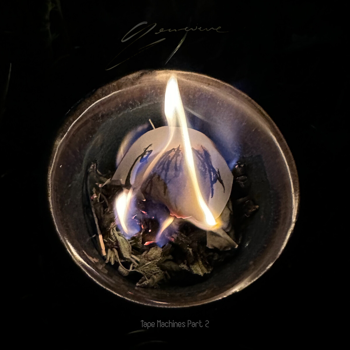 Tape Machines Part 2 by Genevieve (Album): Reviews, Ratings, Credits ...