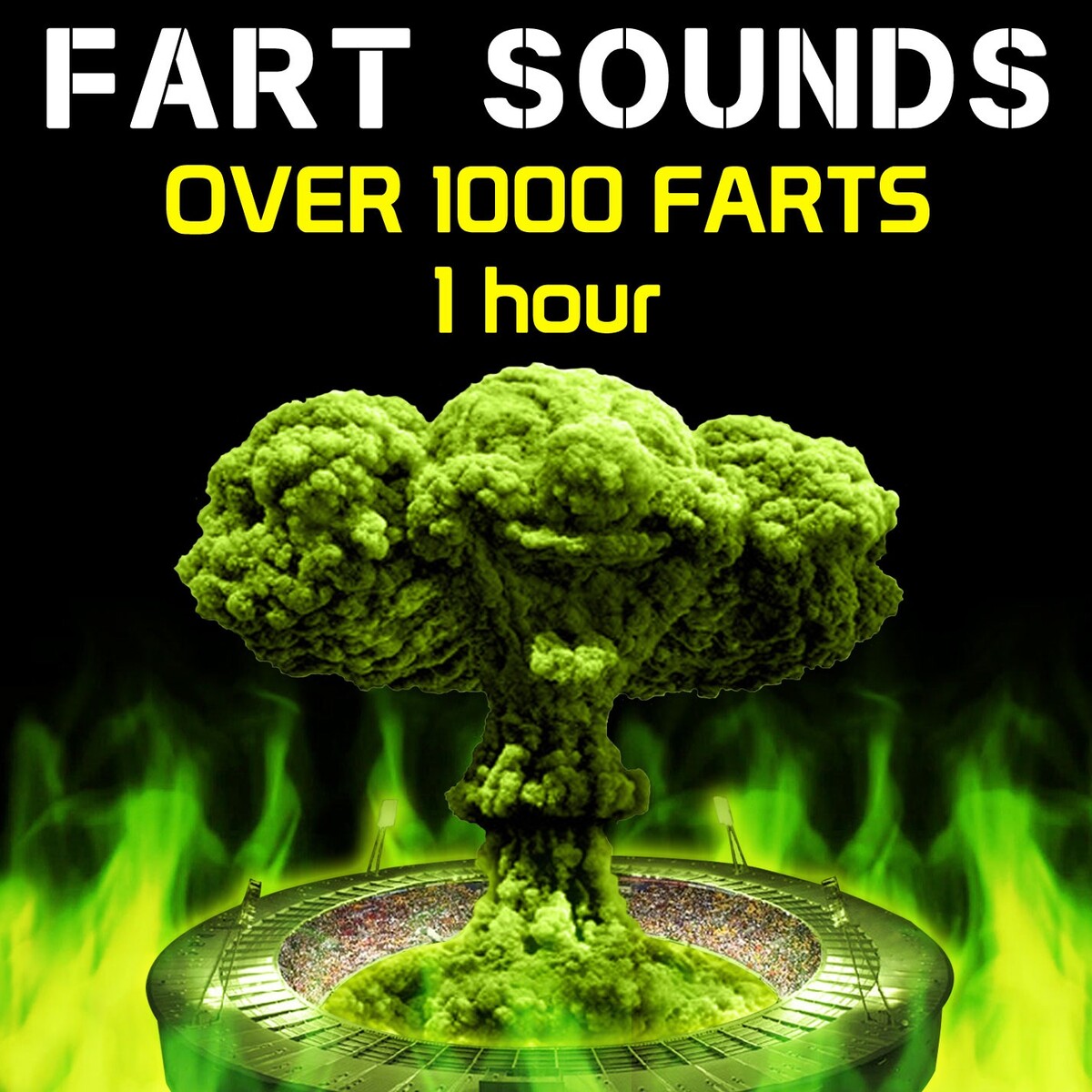 Fart Sounds - Over 1000 Farts (1 Hour) by Fart Fest (Album, Sound ...