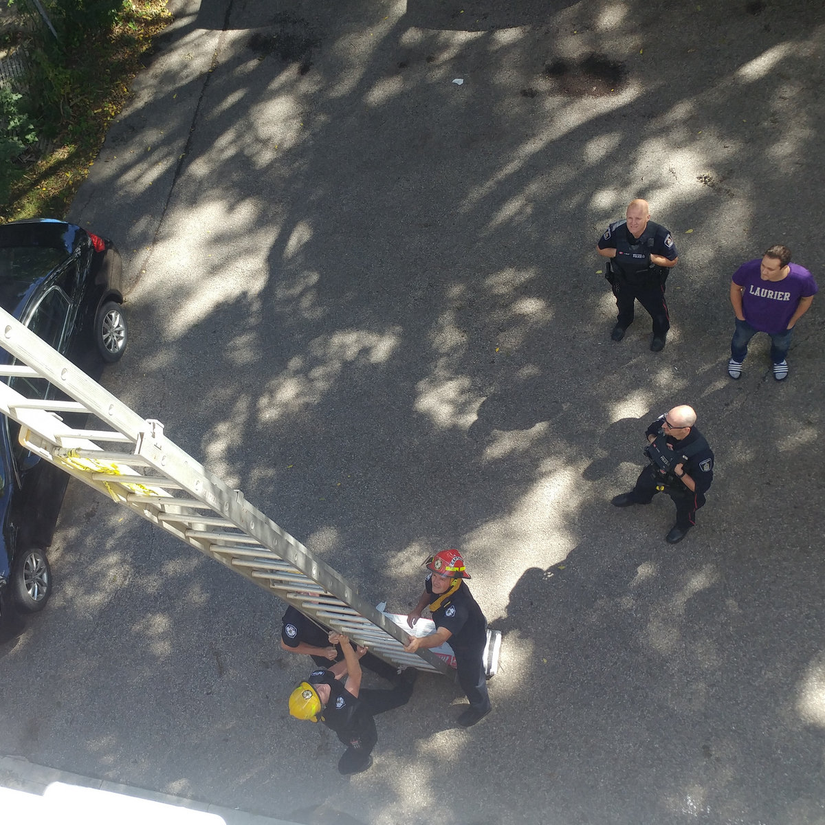 Cops and Ladders by Owen Kurtz (Single): Reviews, Ratings, Credits ...