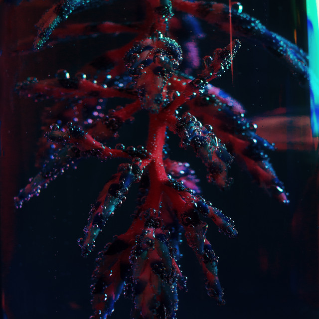 Secret Snake by Objekt (Single, IDM): Reviews, Ratings, Credits, Song ...