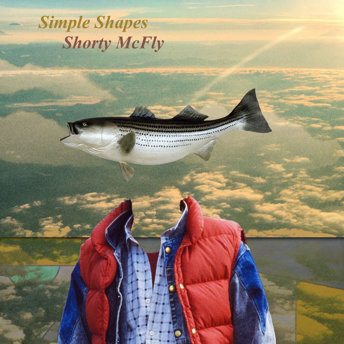 Shorty McFly by Simple Shapes (Single): Reviews, Ratings, Credits, Song ...