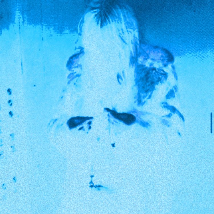 Priority by Slimggp (Single, Trap): Reviews, Ratings, Credits, Song ...