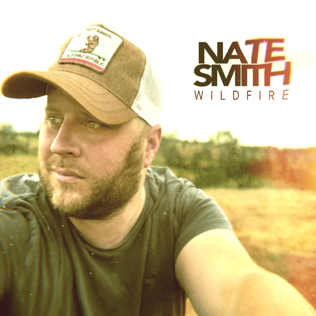 Wildfire by Nate Smith (Single): Reviews, Ratings, Credits, Song list ...