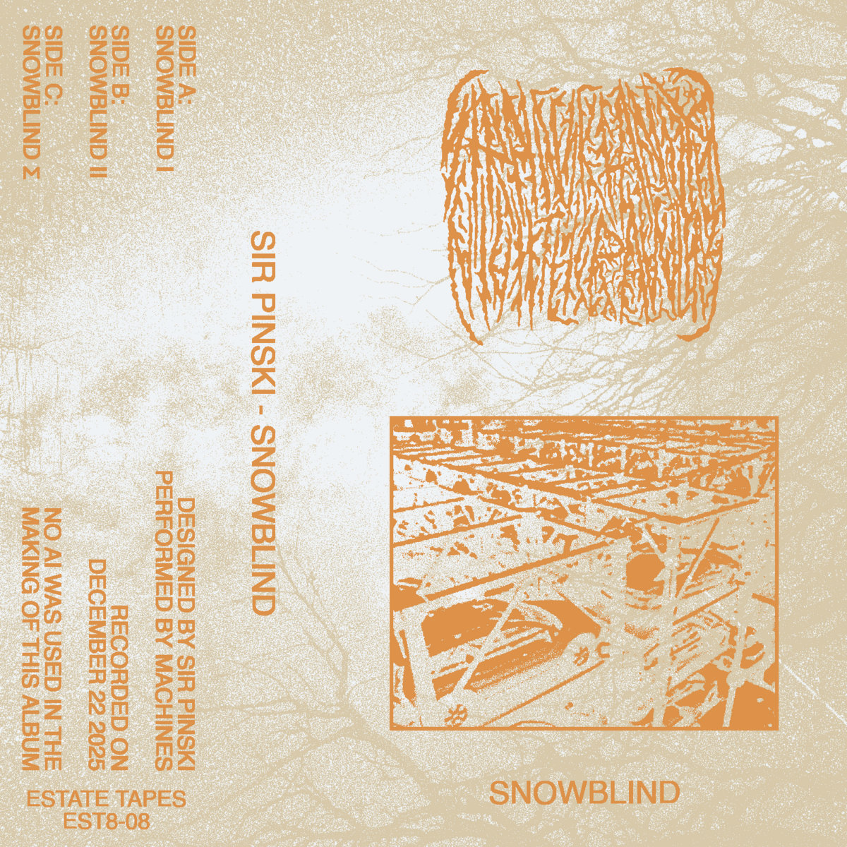 Snowblind by Sir Pinski (Album, IDM): Reviews, Ratings, Credits, Song ...